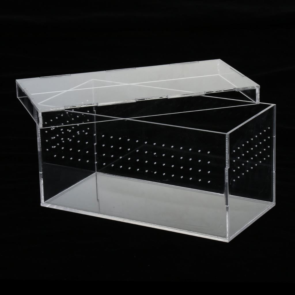 Acrylic Reptile Pl Feeding Tank For Spiders Breeding Box Transparent ...