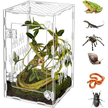 2 Sets Acrylic Mini Reptile Tank Accessories, Mini Tarantula Enclosure ...