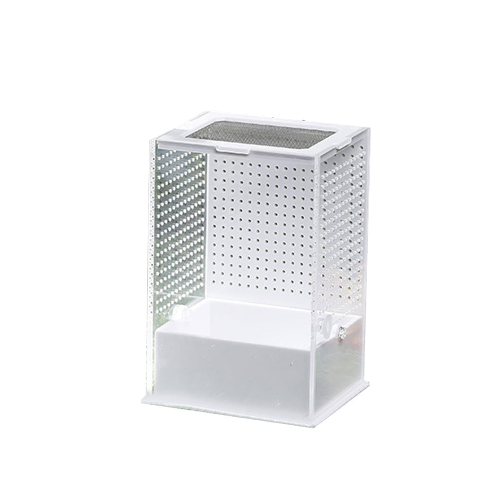 Acrylic Reptile Terrarium Insect Tarantulas Enclosure-Tanks Snail ...