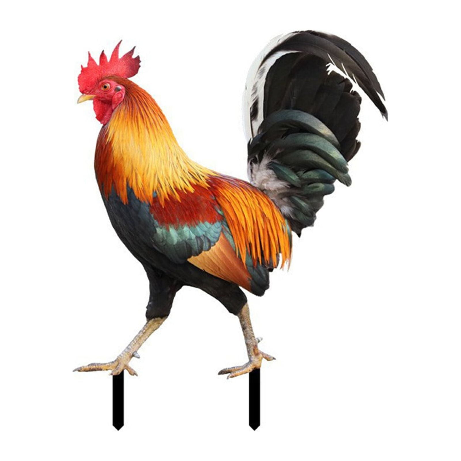Acrylic Rooster Animals Decor, Realistic Rooster Statue, Weatherproof ...