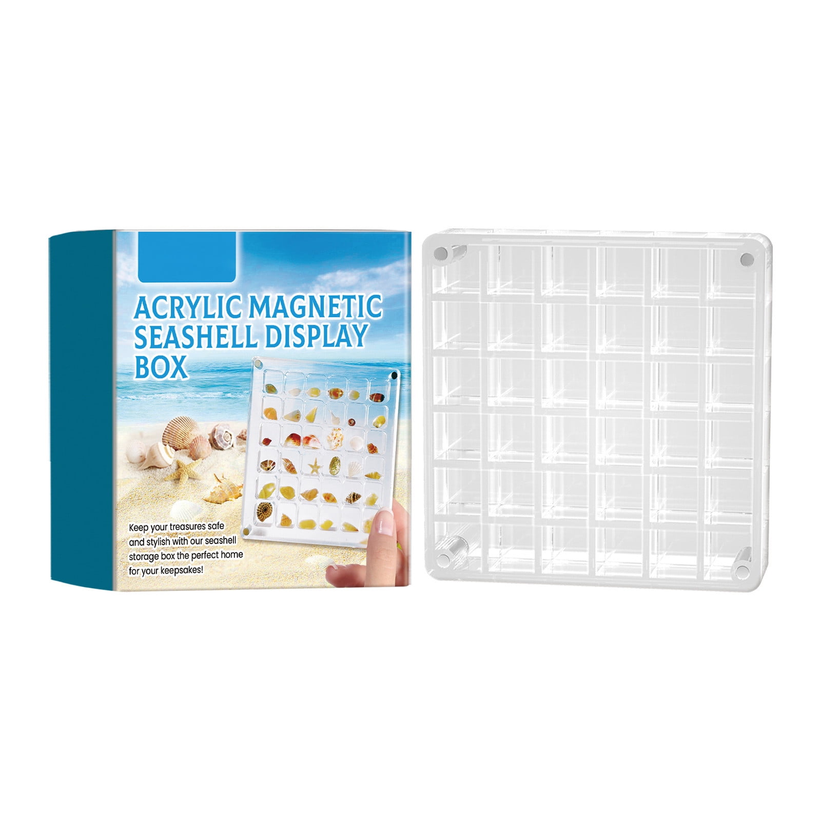 Acrylic Seashell Display Box Grids Acrylic Seashell Display Box Mini ...