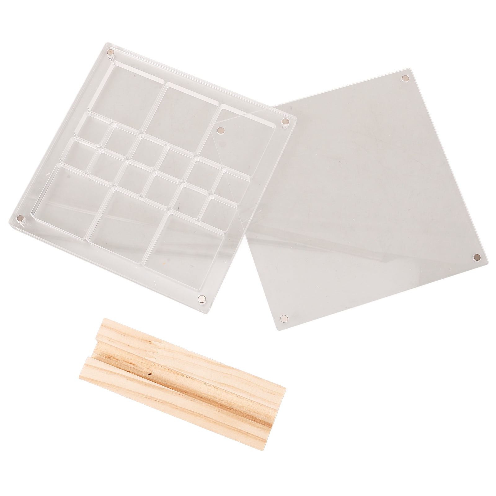 Acrylic Seashell Organizer Transparent Sea Shell Display Box Acrylic ...