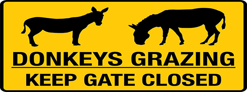 Acrylic Sign 3x10 Inch Donkeys Grazing Keep Gate Closed Sign For Door ...