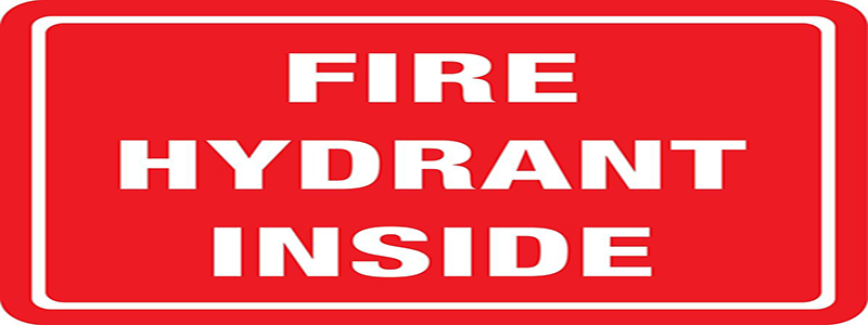 Acrylic Sign 3x10 Inch Fire Hydrant Inside Sign Small Rectangular Sign ...