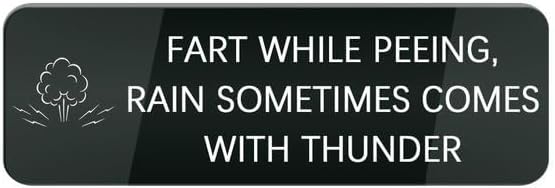 Acrylic Sign 3x8 Inch Acrylic Signs Fart While Peeing Rain Sometimes ...