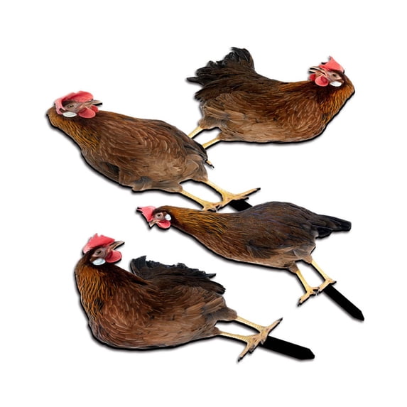 Acrylic Simulated Chicken Yard Art, Double Sided Ground Insert ...