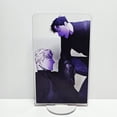 Acrylic Stands, Korean, Manhwa, R&C BL (1 standee) - Walmart.com
