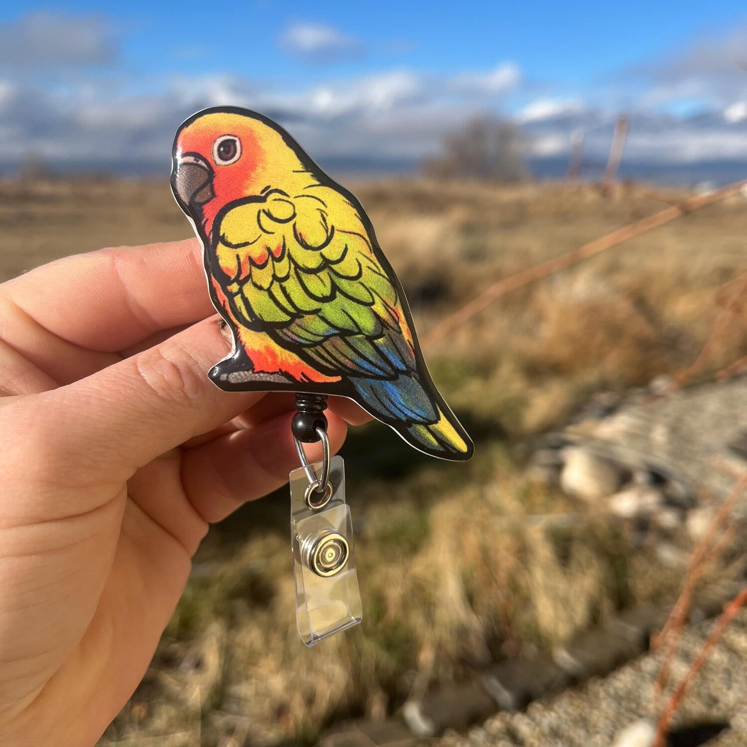 Acrylic Sun Conure Badge Reel ID holder: Gift for Bird Lovers, nurses ...