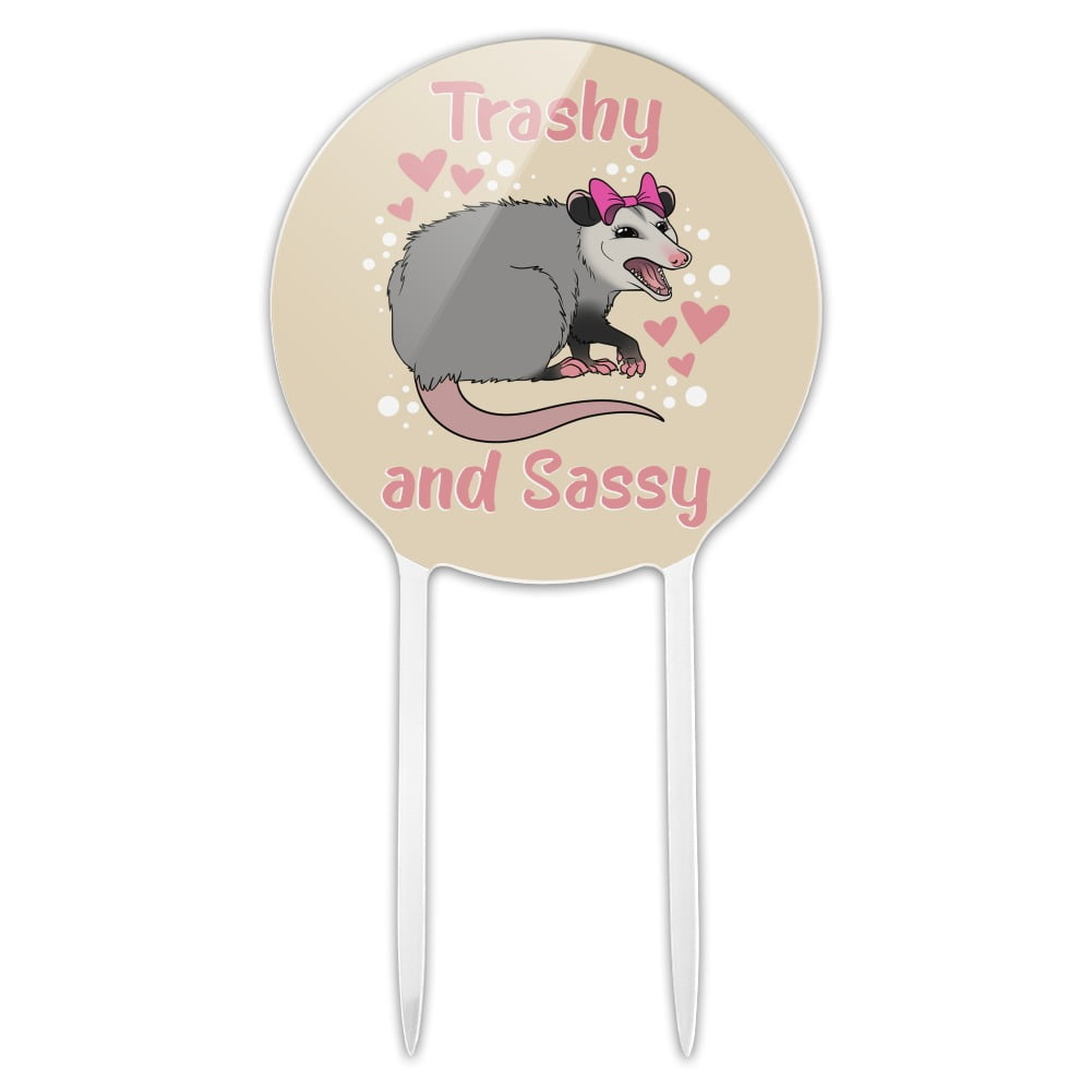 Acrylic Trashy and Sassy Opossum Funny Cake Topper Party Decoration for ...