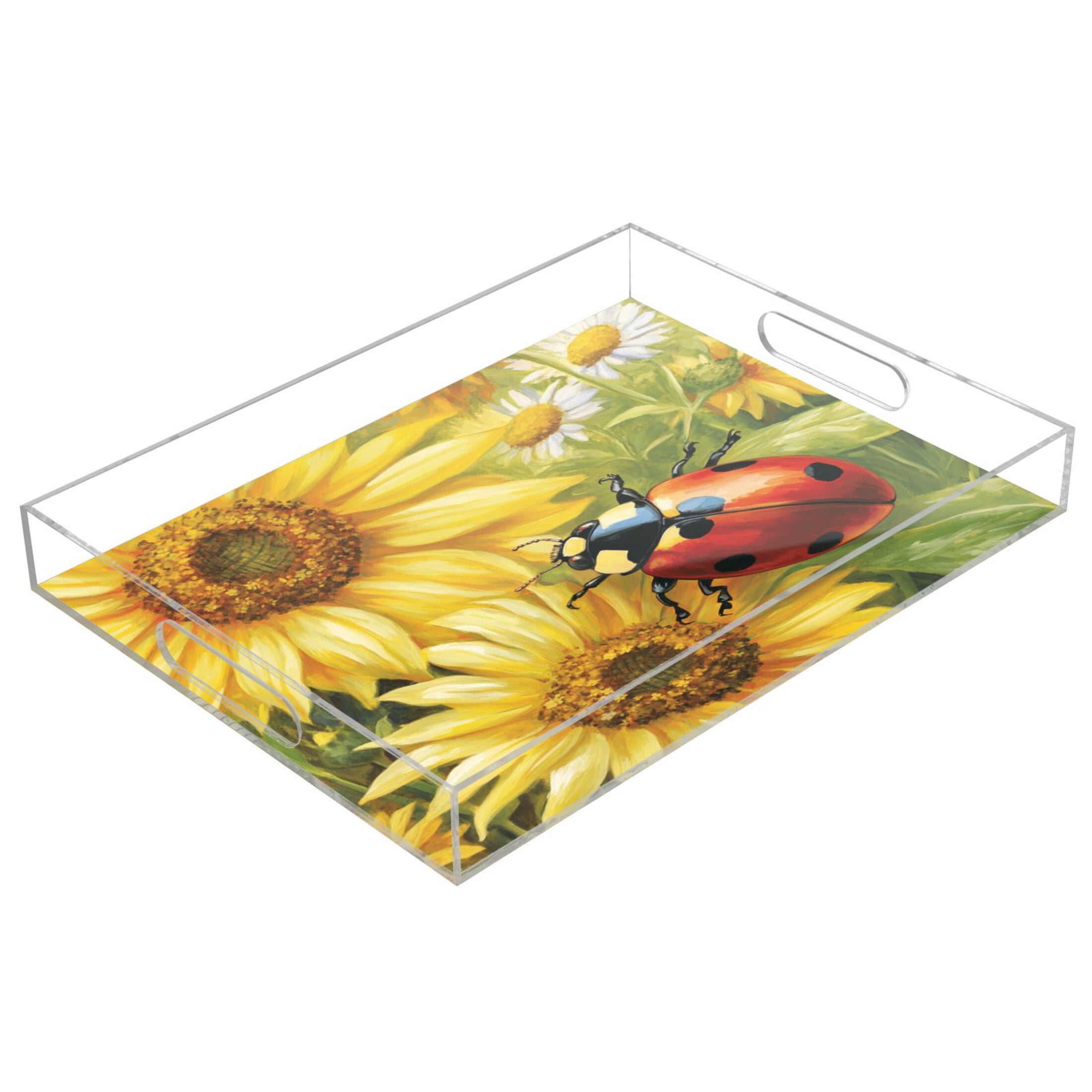 Acrylic Tray 15.7*11.8*1.9 Inch Transparent Tray Food Tray Tea Cup Tray ...