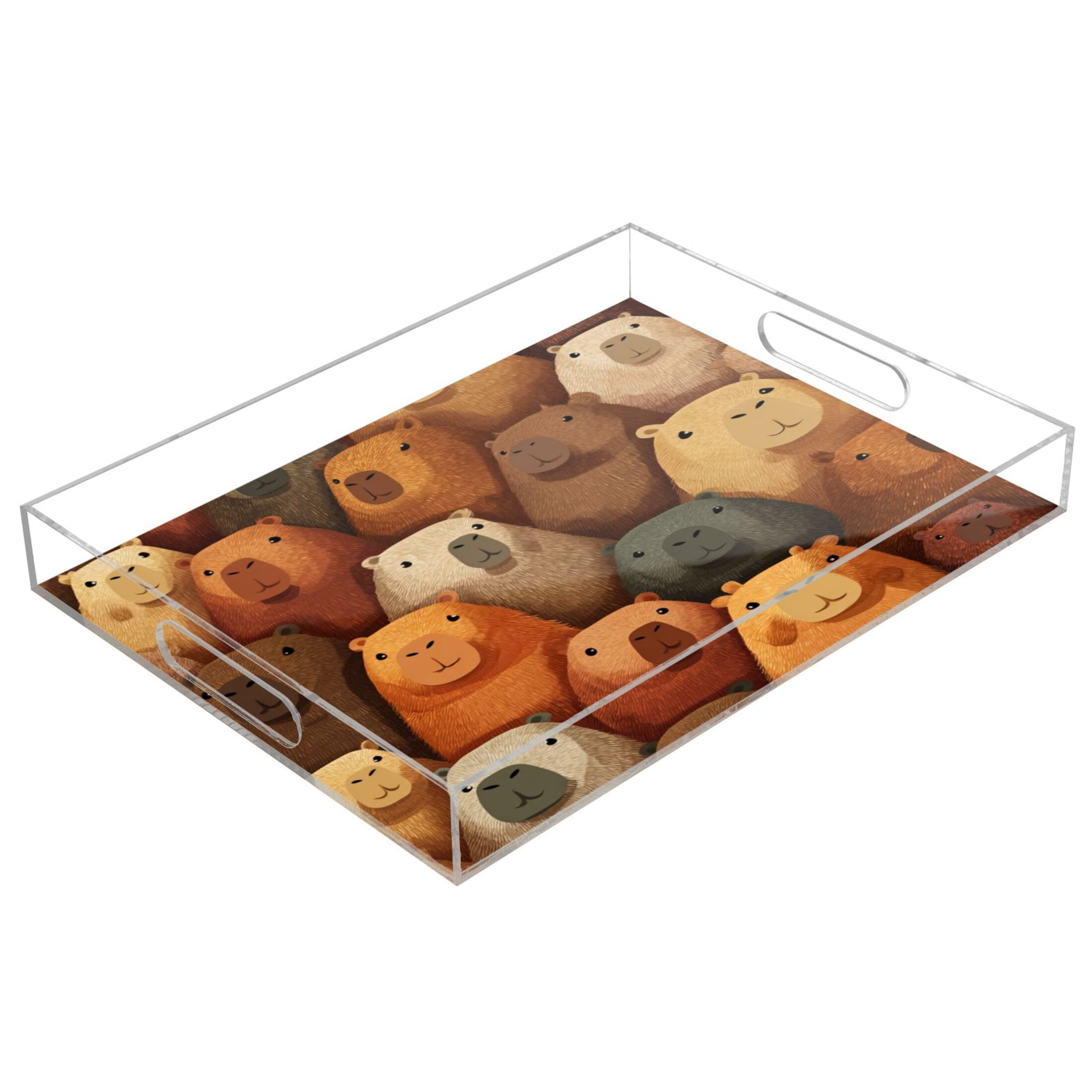 Acrylic Tray 15.7*11.8*1.9 Inch Transparent Tray Food Tray Tea Cup Tray ...