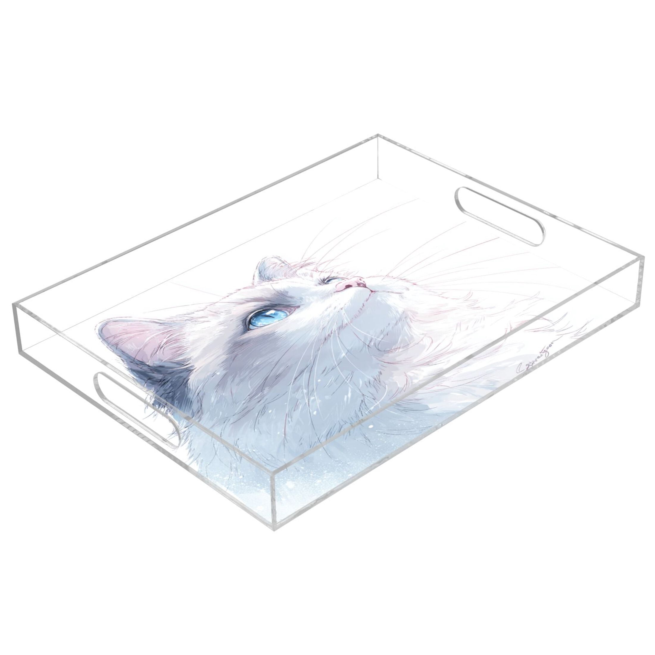 Acrylic Tray 15.7*11.8*1.9 Inch Transparent Tray Food Tray Tea Cup Tray ...