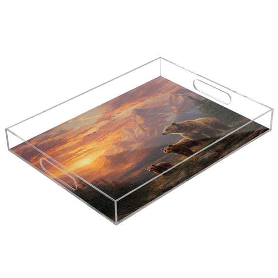 Acrylic Tray 15.7*11.8*1.9 Inch Transparent Tray Food Tray Tea Cup Tray ...