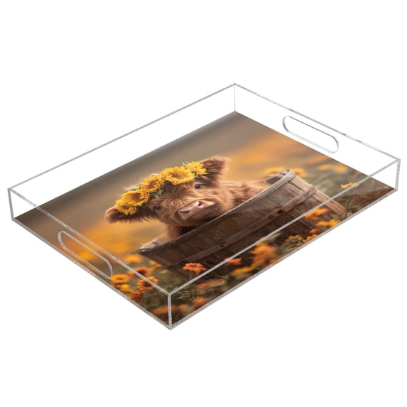 Acrylic Tray 15.7*11.8*1.9 Inch Transparent Tray Food Tray Tea Cup Tray ...