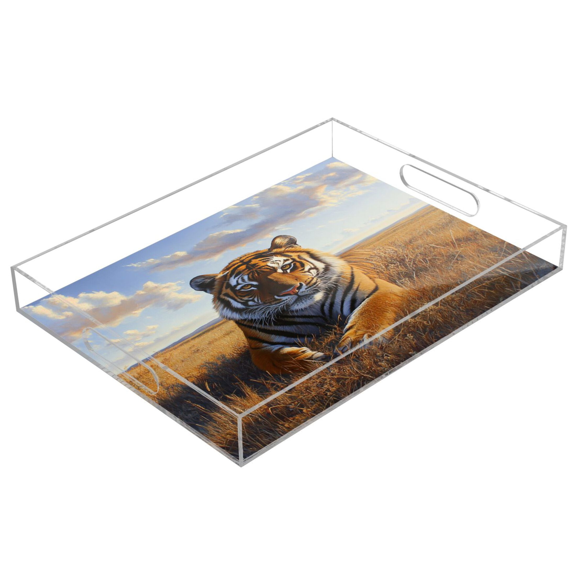 Acrylic Tray 15.7*11.8*1.9 Inch Transparent Tray Food Tray Tea Cup Tray ...