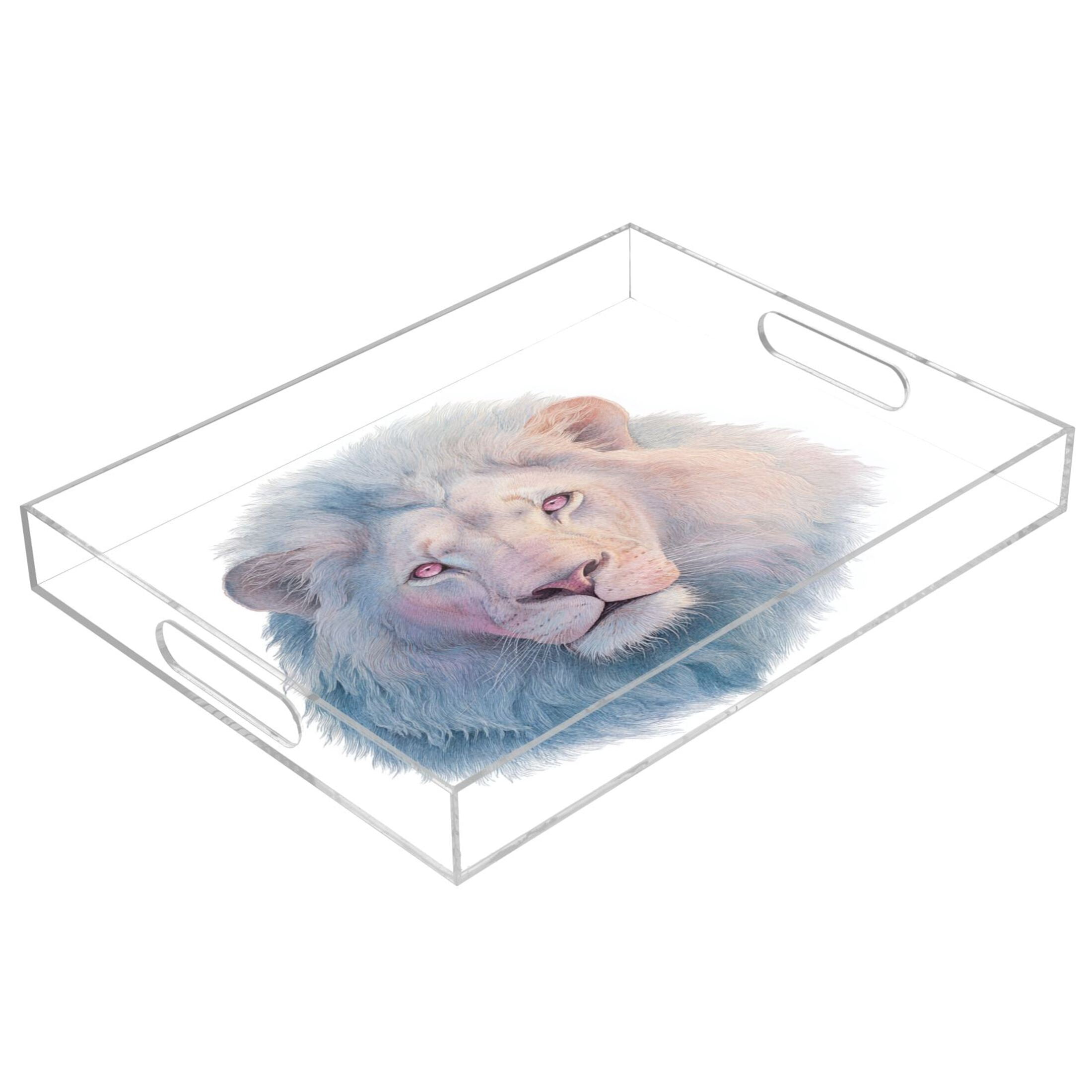 Acrylic Tray 15.7*11.8*1.9 Inch Transparent Tray Food Tray Tea Cup Tray ...