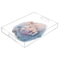 Acrylic Tray 15.7*11.8*1.9 Inch Transparent Tray Food Tray Tea Cup Tray ...