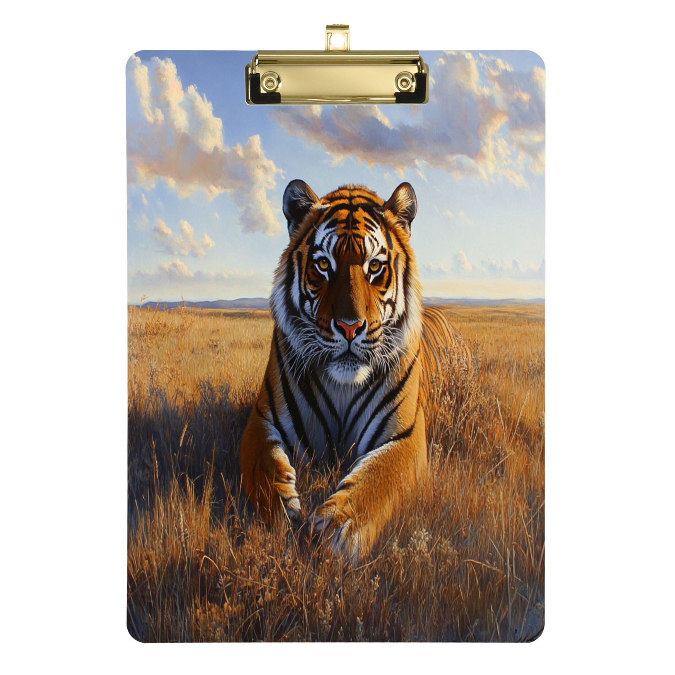 Acrylic Writing Board Silver12.5*9 Inch Clipboards Transparent Acrylic ...