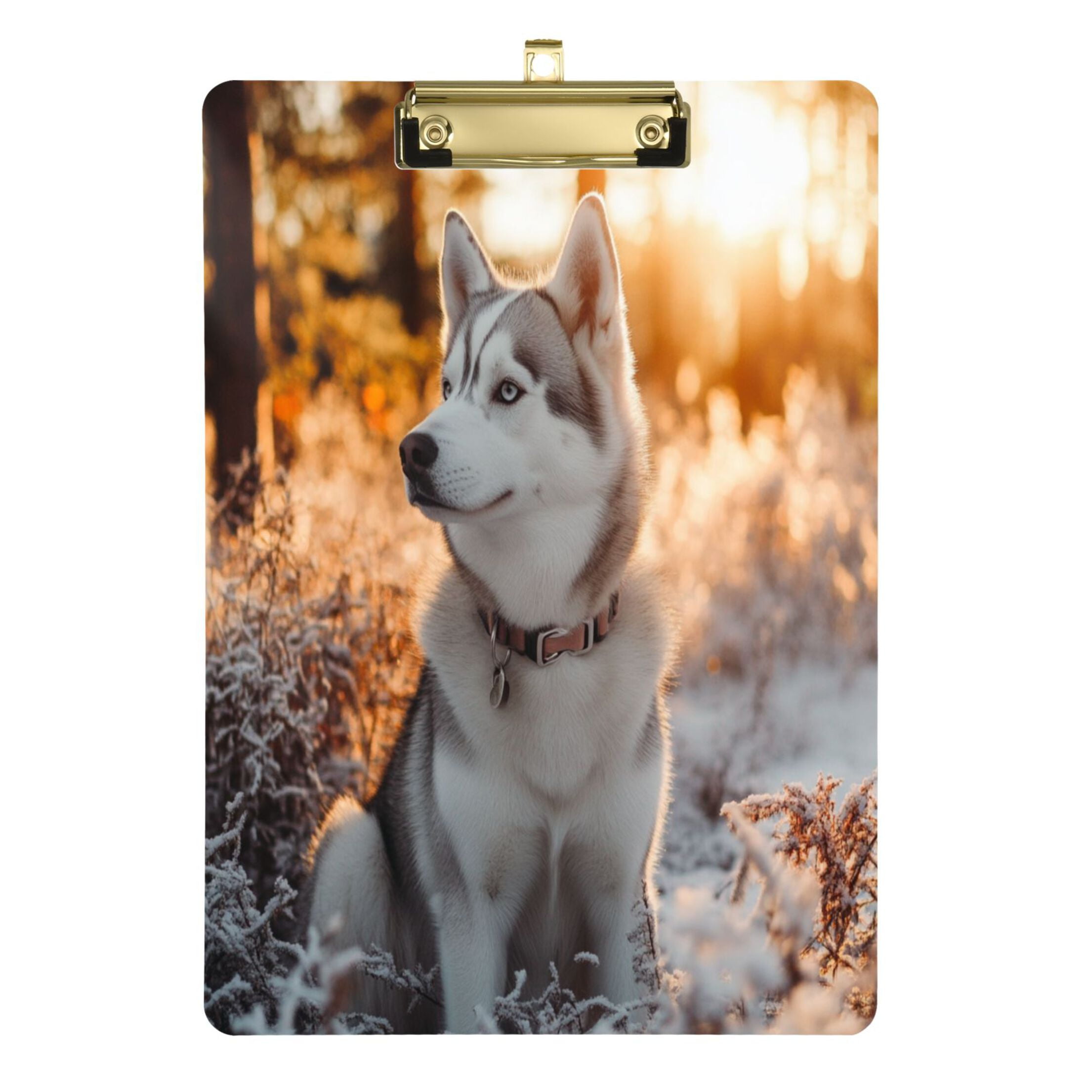 Acrylic Writing Tablet,Outdoor Husky Dog12.5"×9"Rectangular One-sided ...