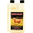 Cox Veterinary Lab Acti-Flex Liquid Horse Joint Supplement Quart ...
