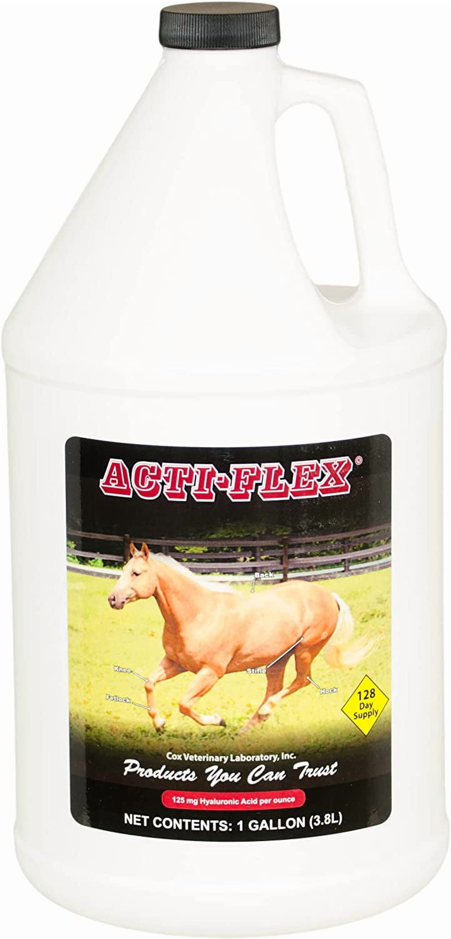 Acti-Flex Gallon - Walmart.com