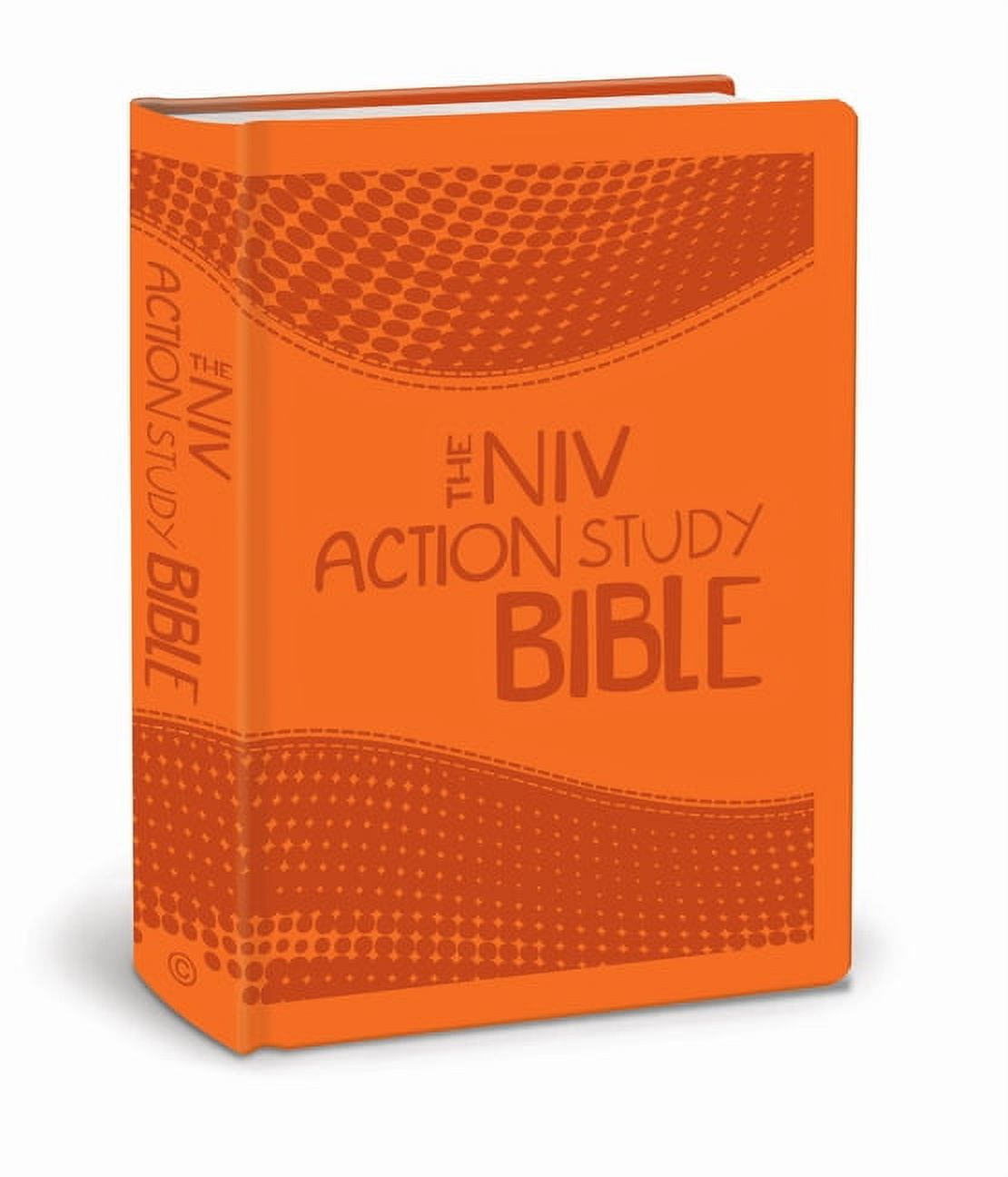 Action Bible The NIV Action Study Bible-Premium Edition, (Hardcover ...