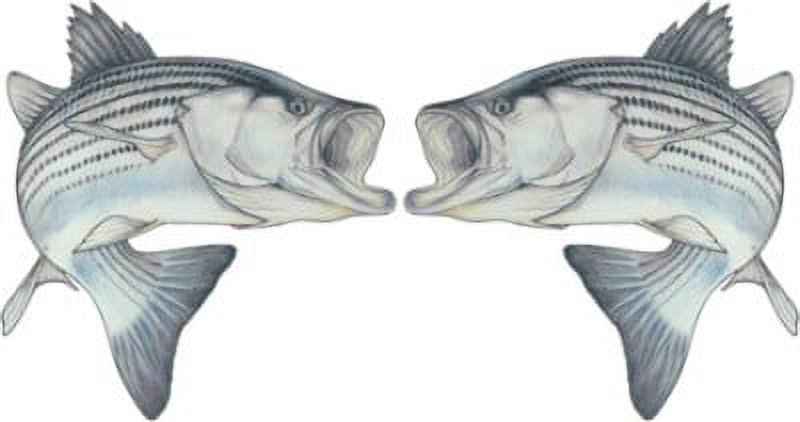 Action Striper Decal Twin Pack - Walmart.com