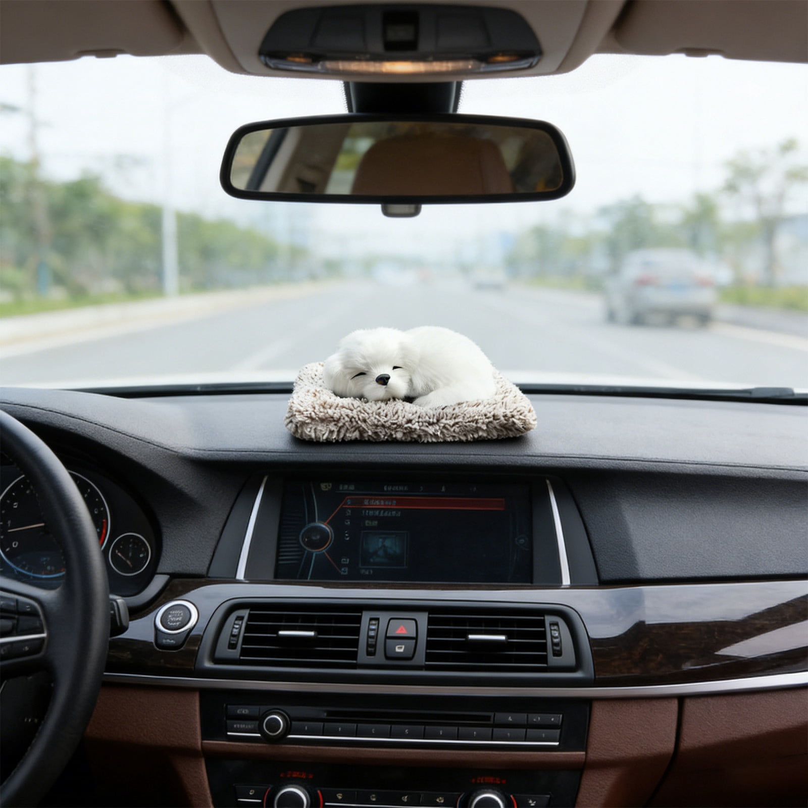 Activated Carbon Car Interior Ornament, Realistic Simulation Car ...