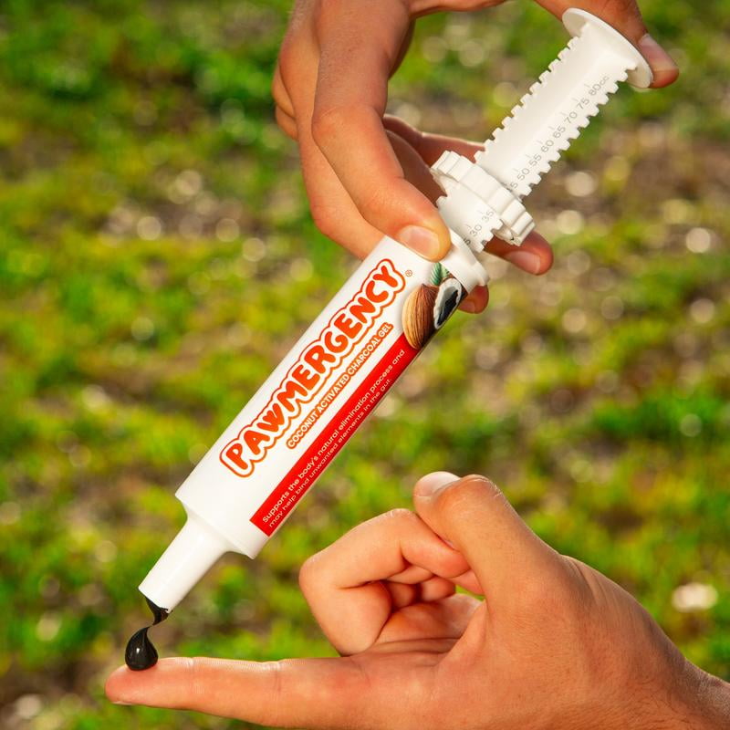 Activated Charcoal & Kaolin First Aid Kit Essential for Dogs, Puppy ...