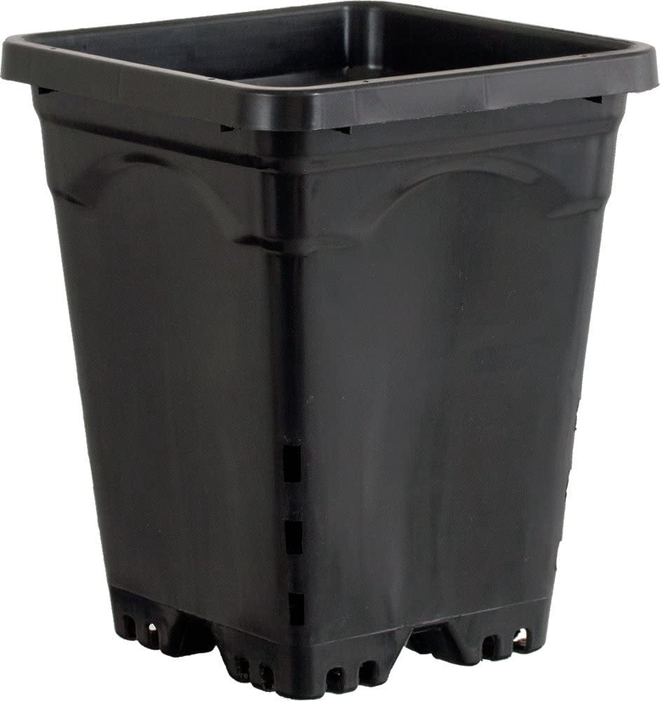 Active HG7X7SB, 7" X 7", Black Square Pot (Pack of 50) - Walmart.com