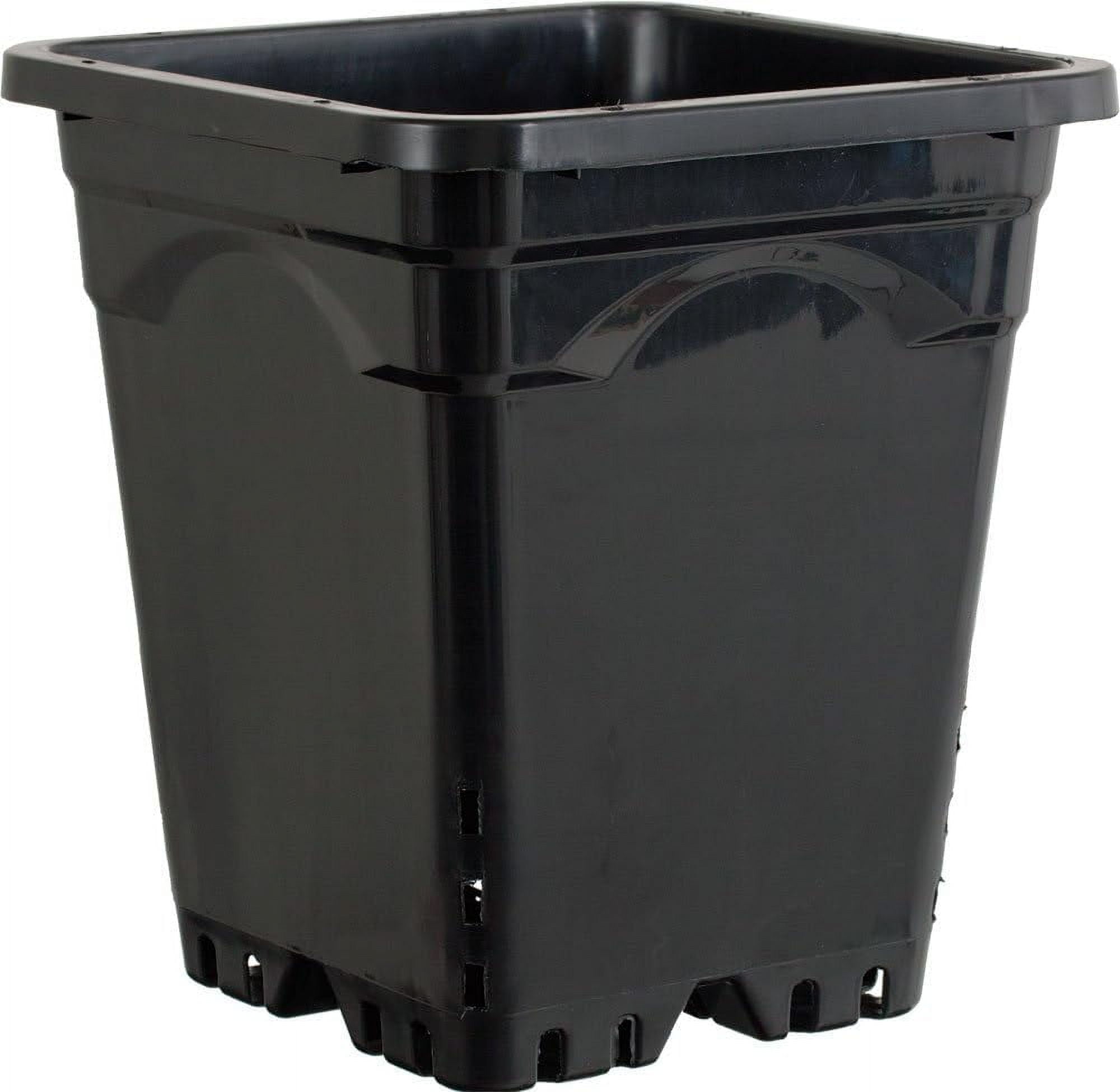 Active HG9X9SB (24 Pack), 9, Black Square Pot - Walmart.com