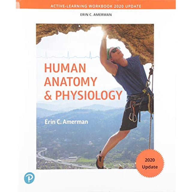 Pre-Owned Active-Learning Workbook for Human Anatomy & Physiology ...