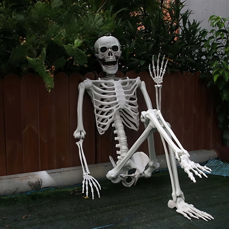 Active Mind Ltd Life-Size 5.5FT Poseable Skeleton - Waterproof Outdoor ...