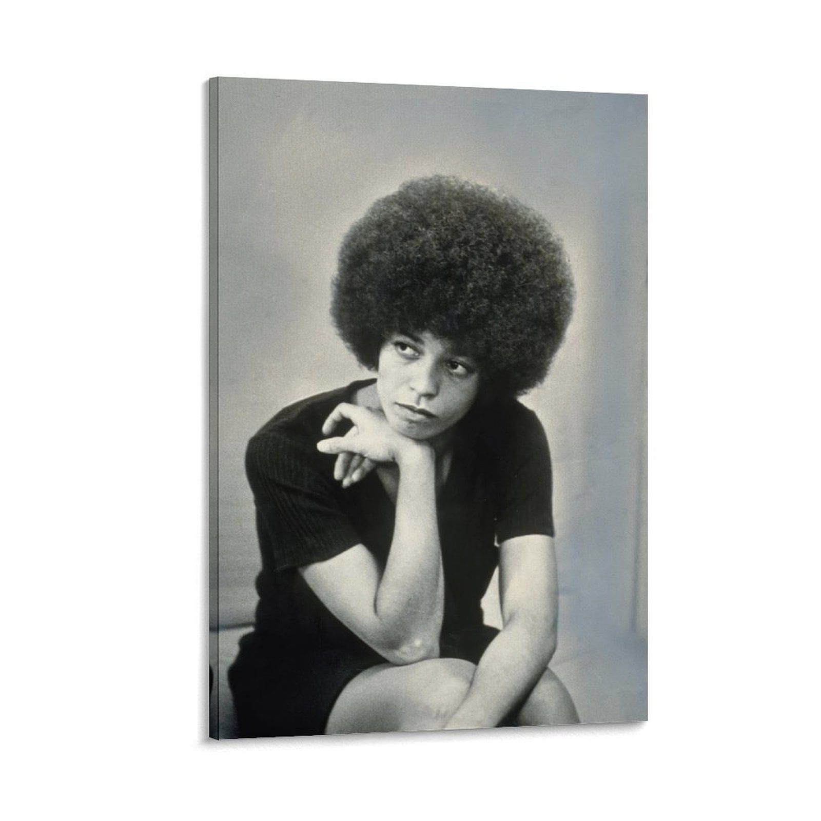 Activists for African-American Civil Rights Angela Davis Celebrity ...