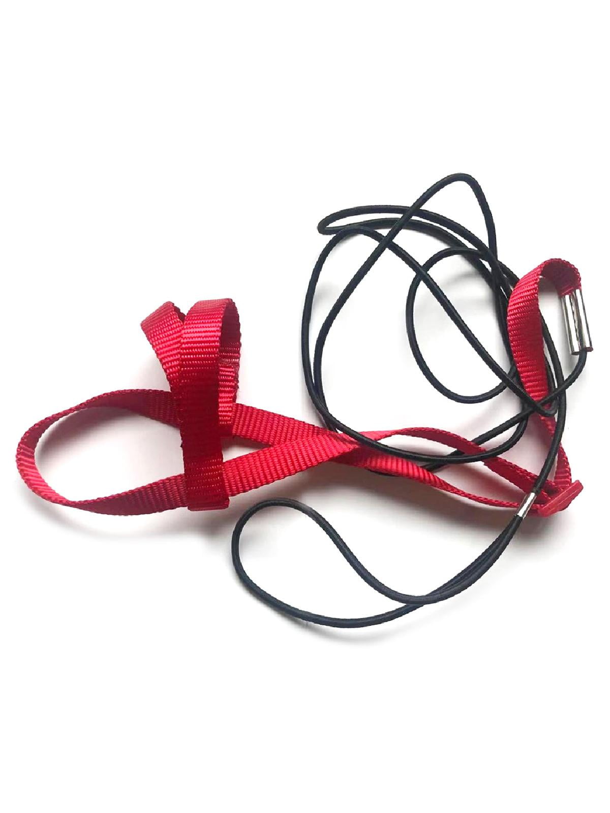 Activities Flying Traction Straps for Parrots Love Birds Finches Leash ...