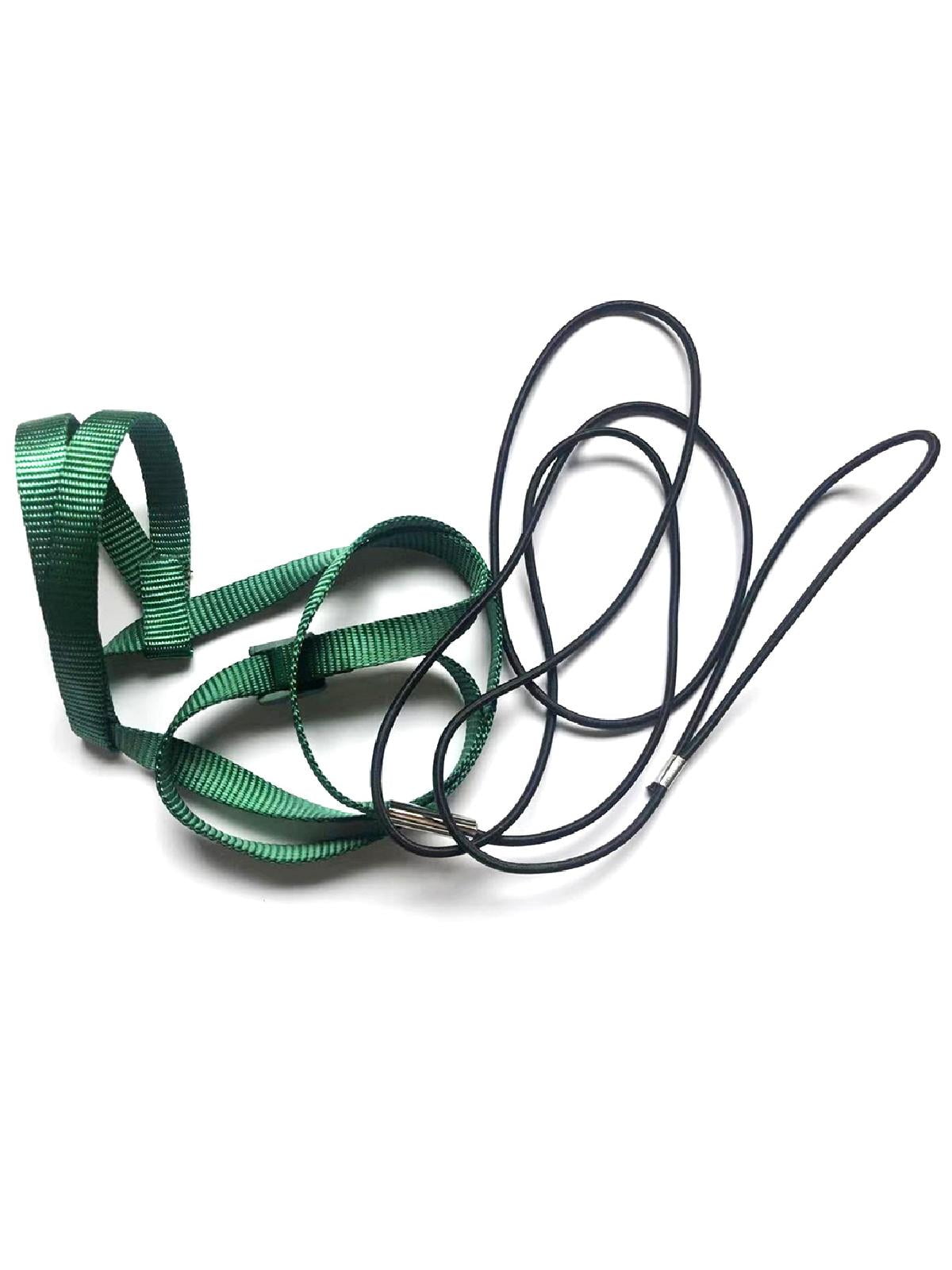Activities Flying Traction Straps for Parrots Love Birds Finches Leash ...