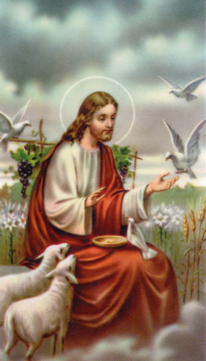 Acto de Contricion N holy card - laminated - Pack of 25 - Walmart.com