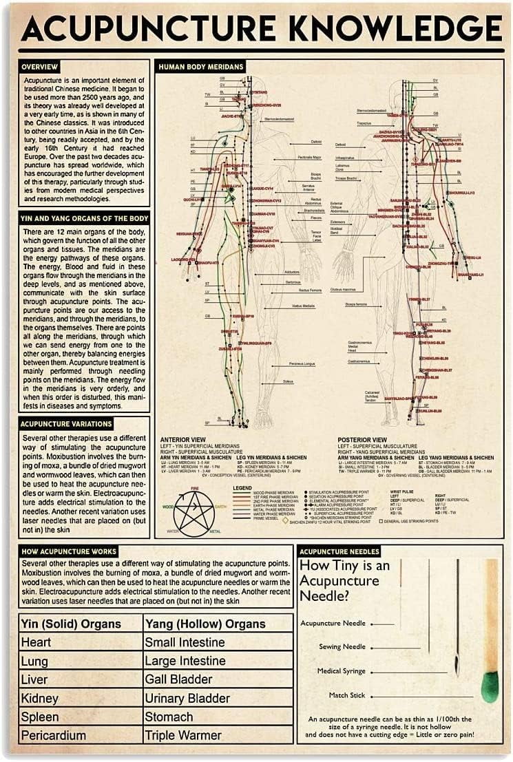 Acupuncture Knowledge Metal Signs Wall DecorMedical Science ...
