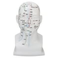 Acupuncture Point Head Model PVC White Face Massage Meridians Head ...