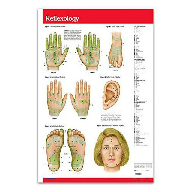 Acupuncture Points Chart/Reflexology Poster- 2-page double-sided 24" x ...
