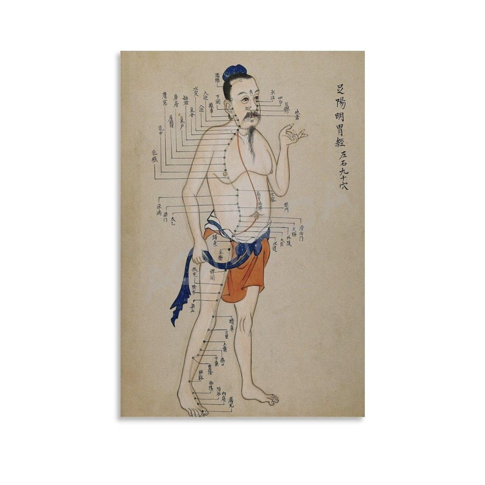 Acupuncture Points And Meridians Chart Poster Traditional Chinese ...