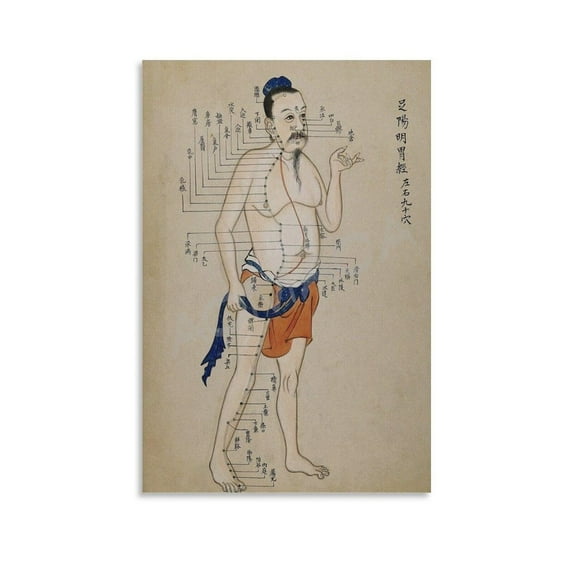 Acupuncture Points And Meridians Chart Poster Traditional Chinese ...