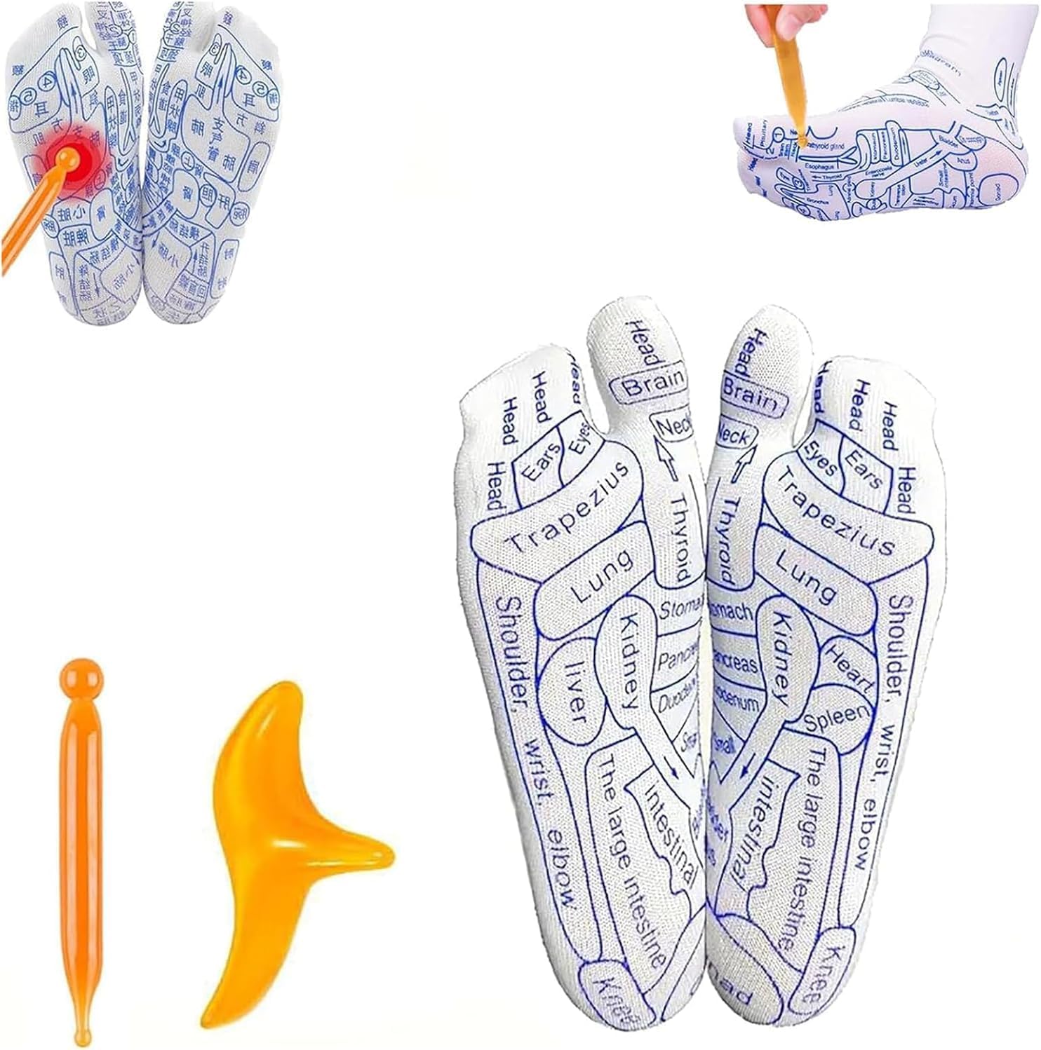 Acusocks Reflexology Socks Kit, Acusocks Reflexology Chart Socks ...