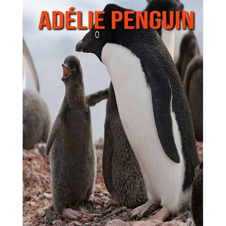 Adelie Penguin Facts