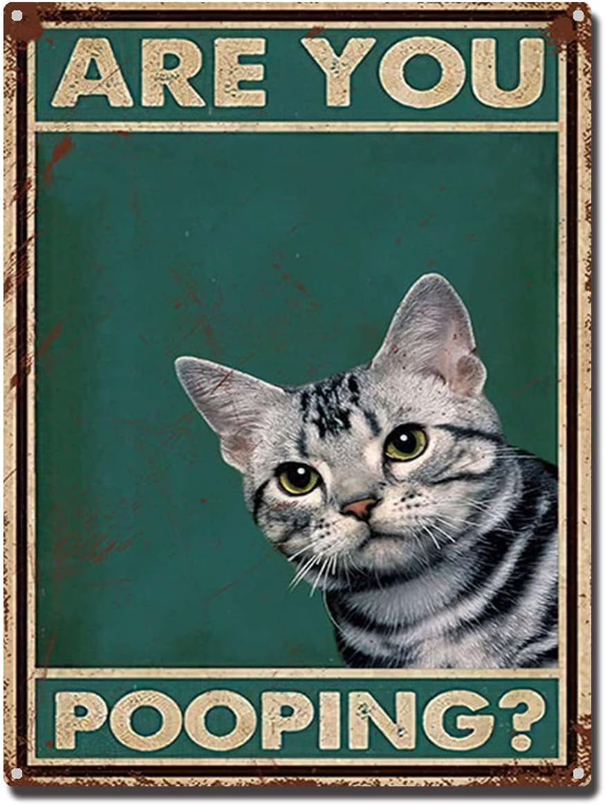 Adale Metal Sign Vintage Funny Cat are You Pooping Tin Sign for ...