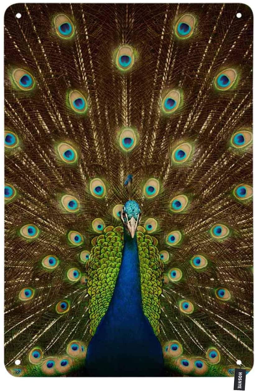 Adale Peacock Tin Sign Elegance Animal with Green Feather Flaunting Its ...