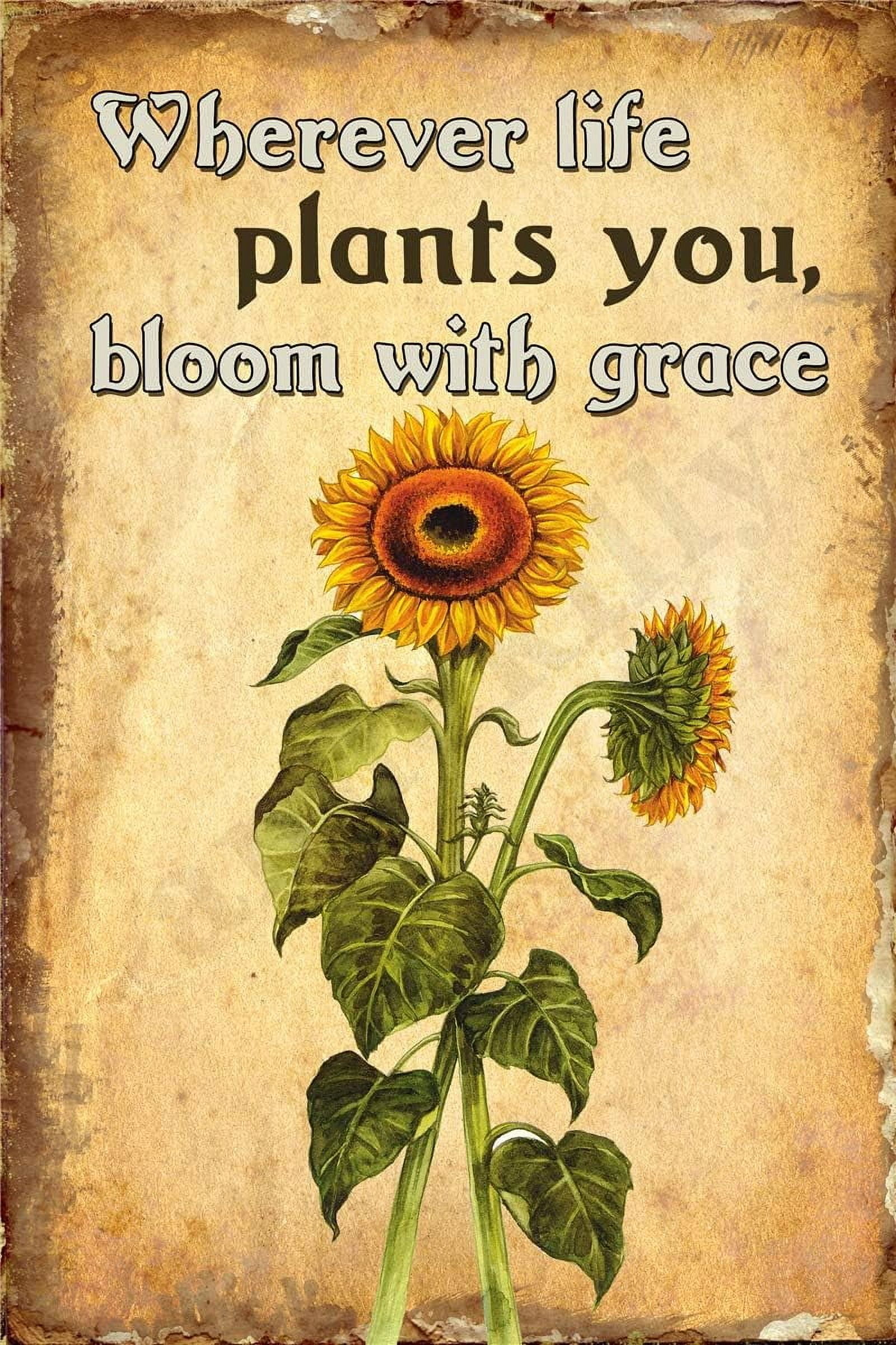 Adale Sunflower Signs Wherever Life Plants You,Bloom With Grace ...