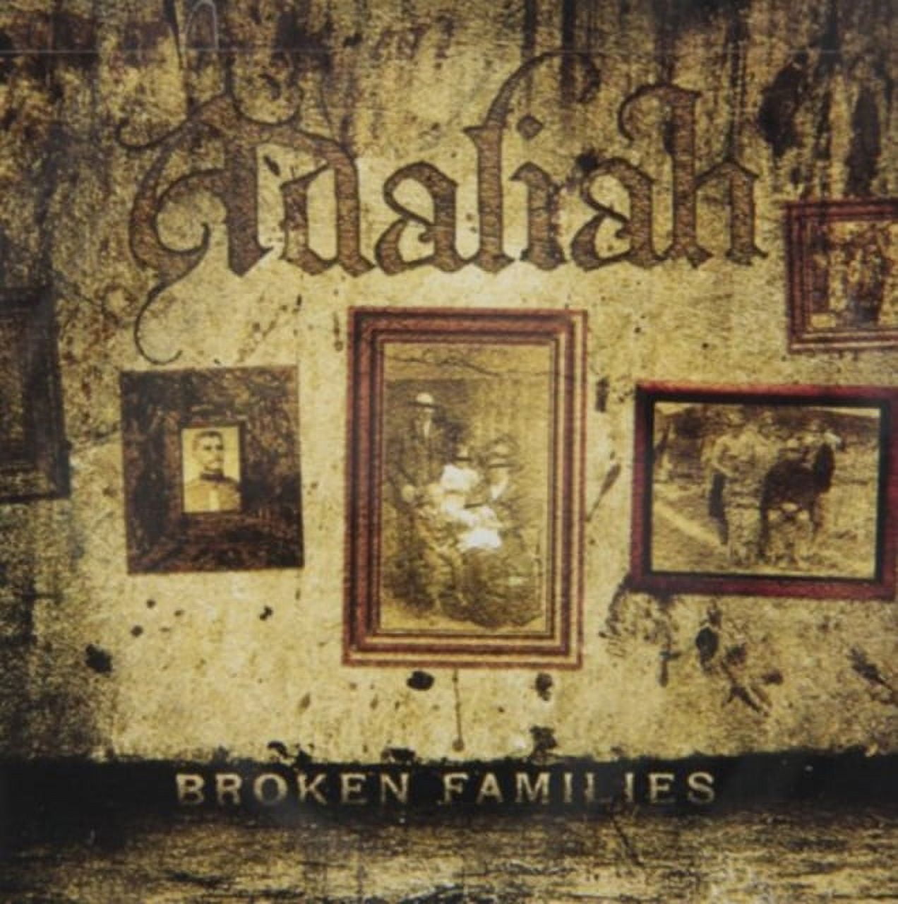 Adaliah - Broken Families [CD] - Walmart.com