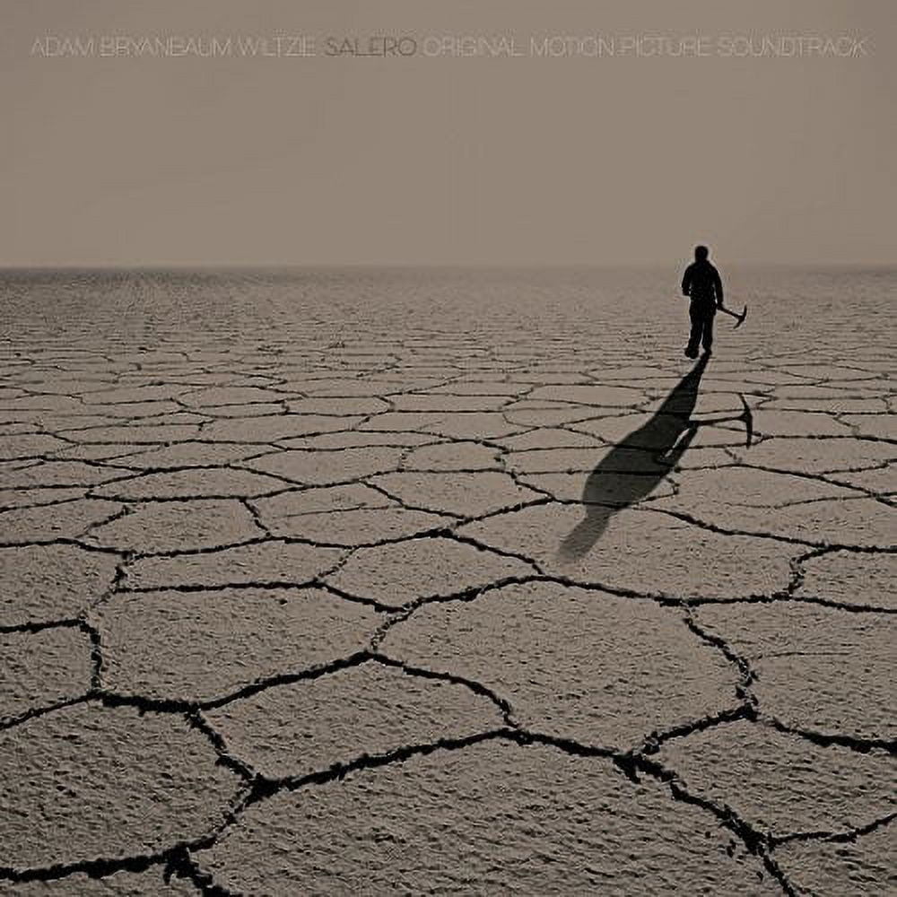 Adam Bryanbaum Wiltzie - Salero - Electronica - CD - Walmart.com