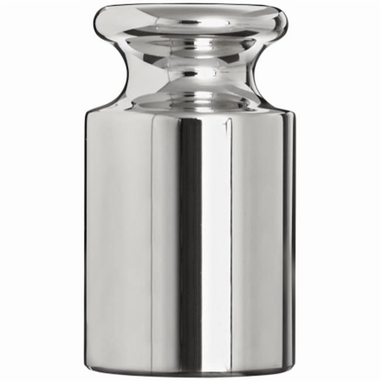Adam Equipment ASTM 2-100g Calibration Weight; Class-2 Stainless Steel ...